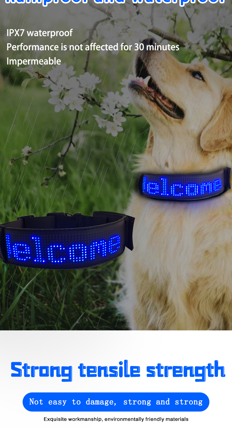 LED COLLAR