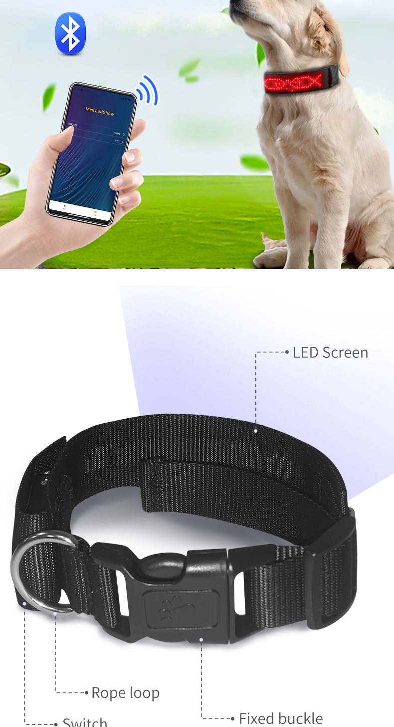 LED COLLAR